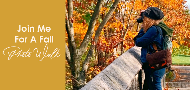 Join Me For A Fall Photo Walk - Life Happens Now